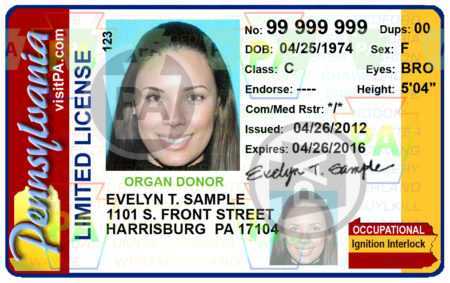 "Ignition Interlock" on Your License: What Does It Mean?