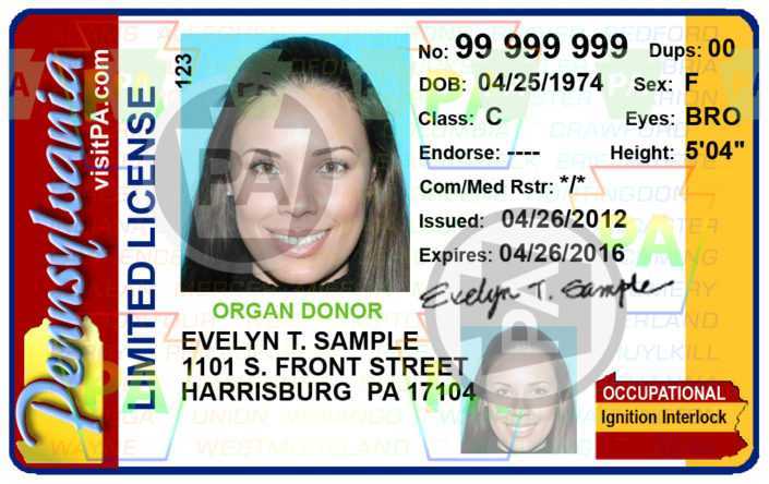 "Ignition Interlock" on Your License: What Does It Mean?